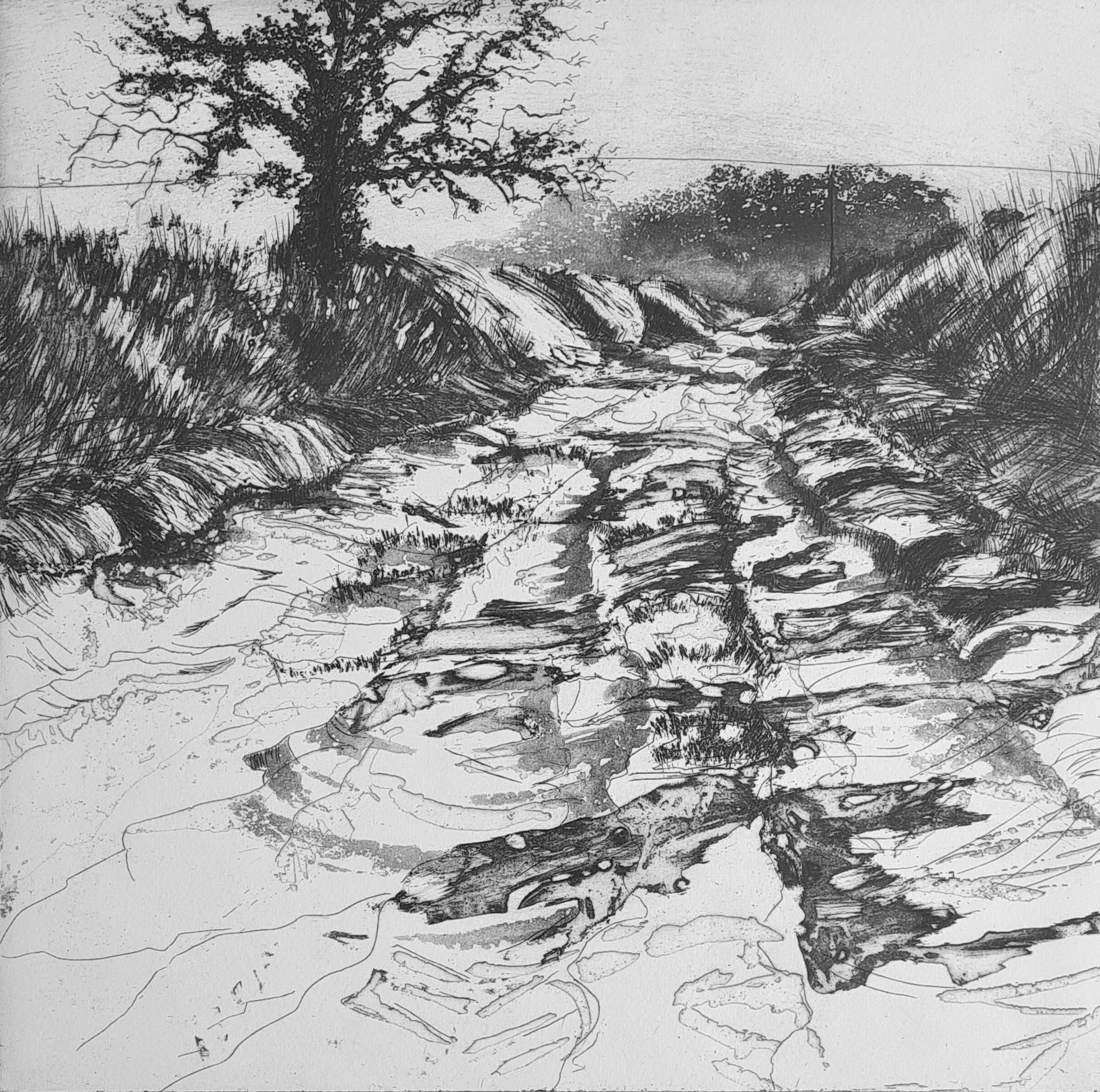 Wendy Rhodes | RWA Bristol