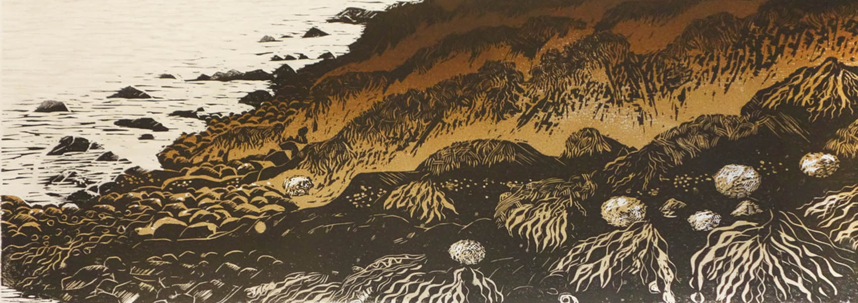 Rod Nelson | RWA Bristol