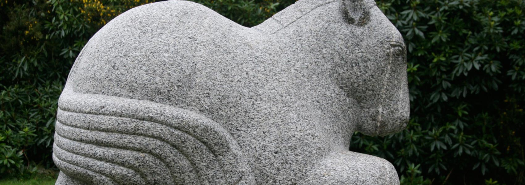 Reece Ingram | RWA Bristol