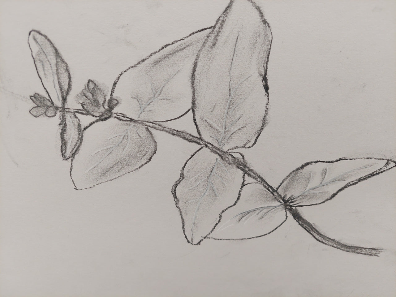 Art for the Afraid | RWA Drawing School Bristol | RWA Bristol