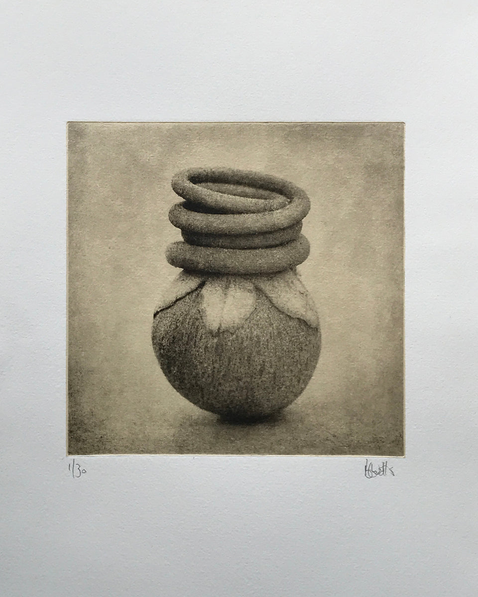 Barrie Watts, Cyclamen Seed Pod. - edition | RWA Bristol